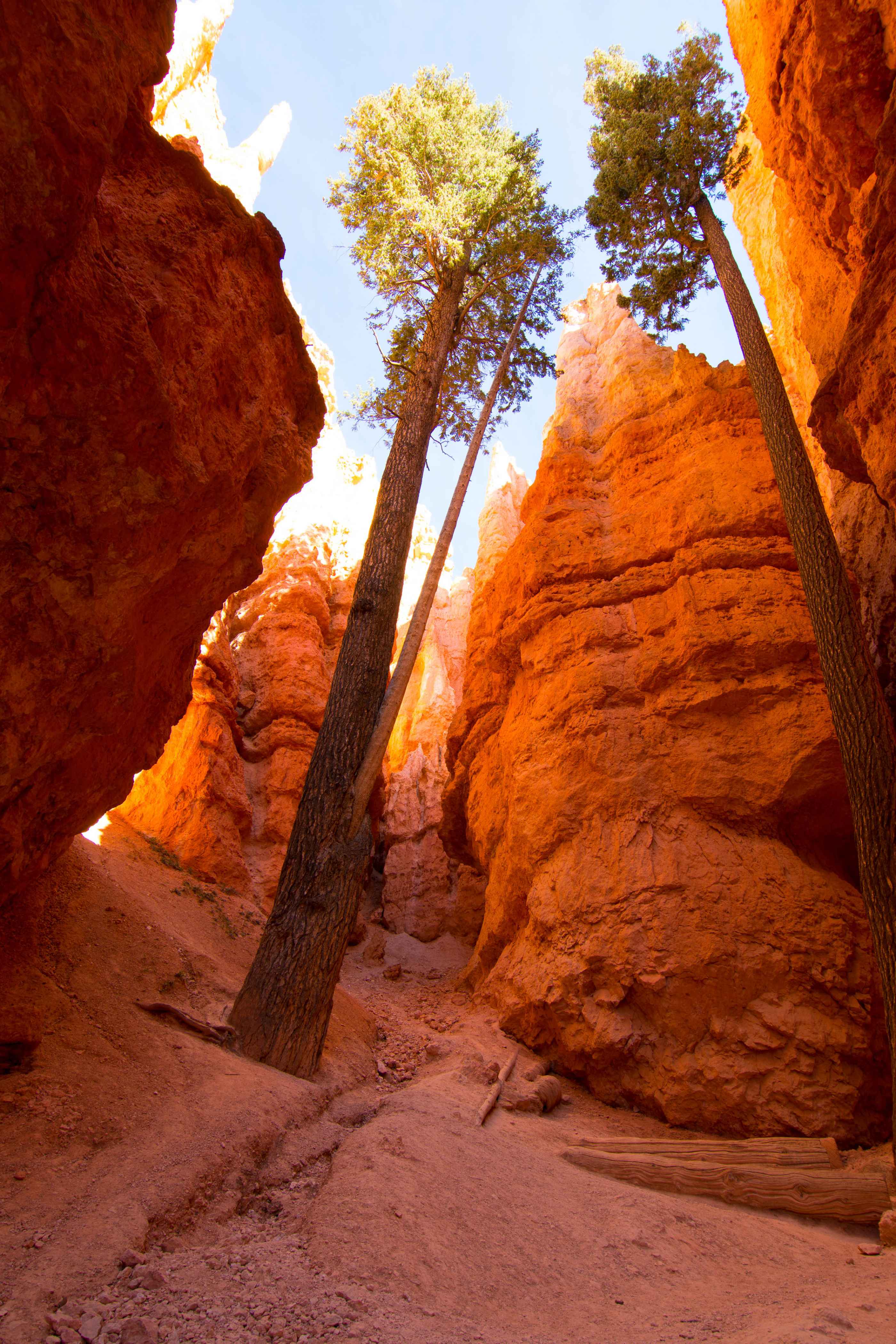 Bryce Canyon National Park - Road-trip sur la côte ouest des Etats-Unis ...