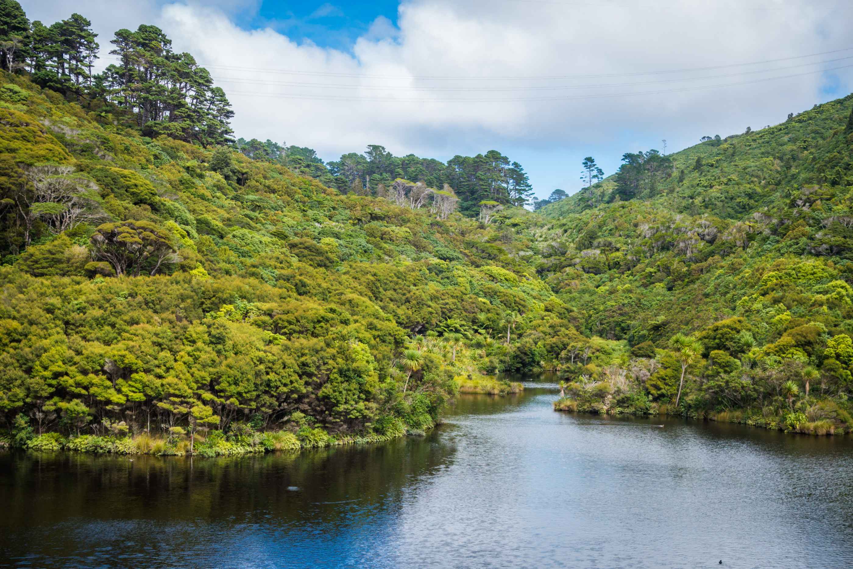 Wellington : Zealandia, la pleine nature au cœur de la ville ...