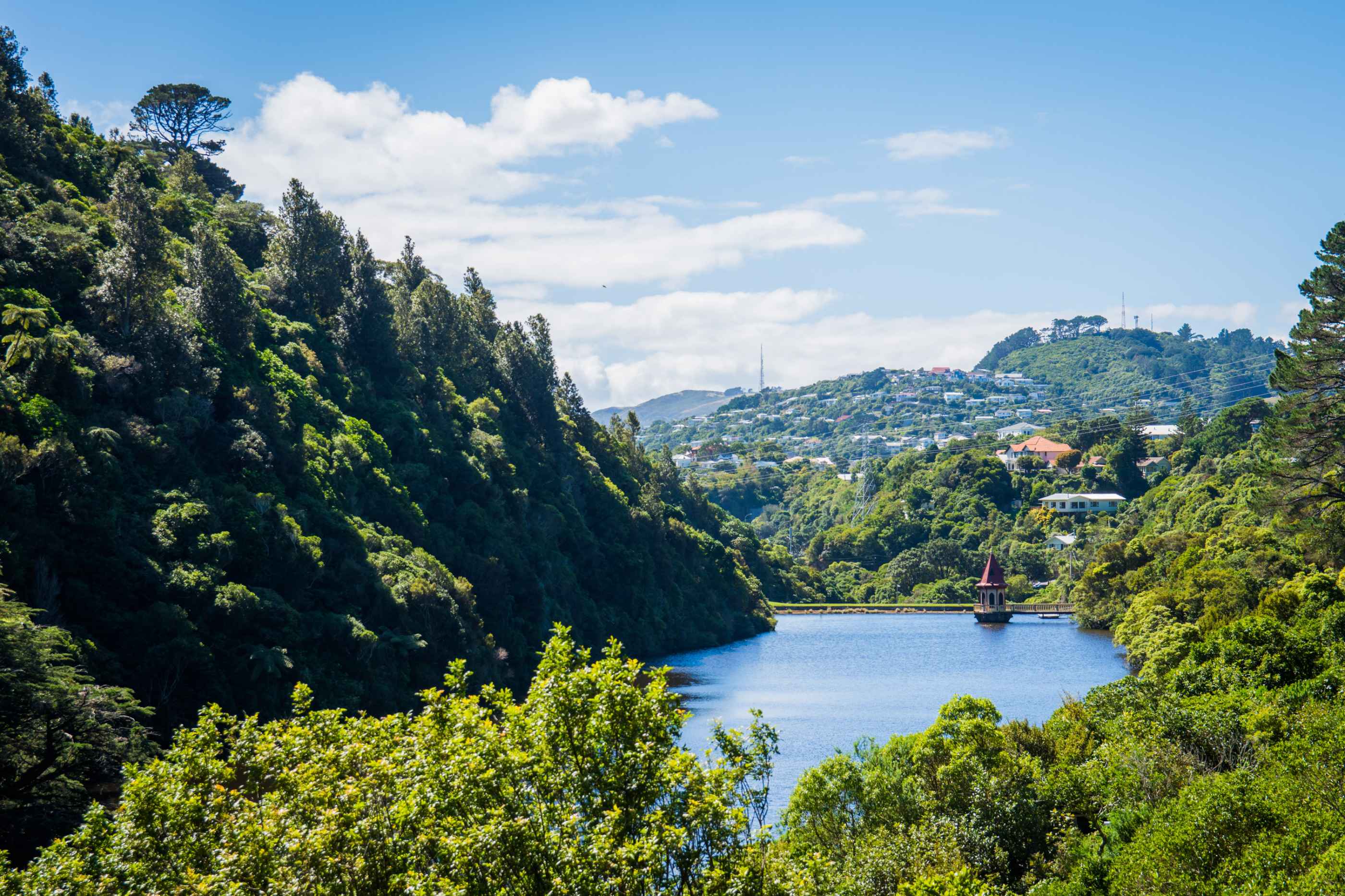 Wellington : Zealandia, la pleine nature au cœur de la ville ...